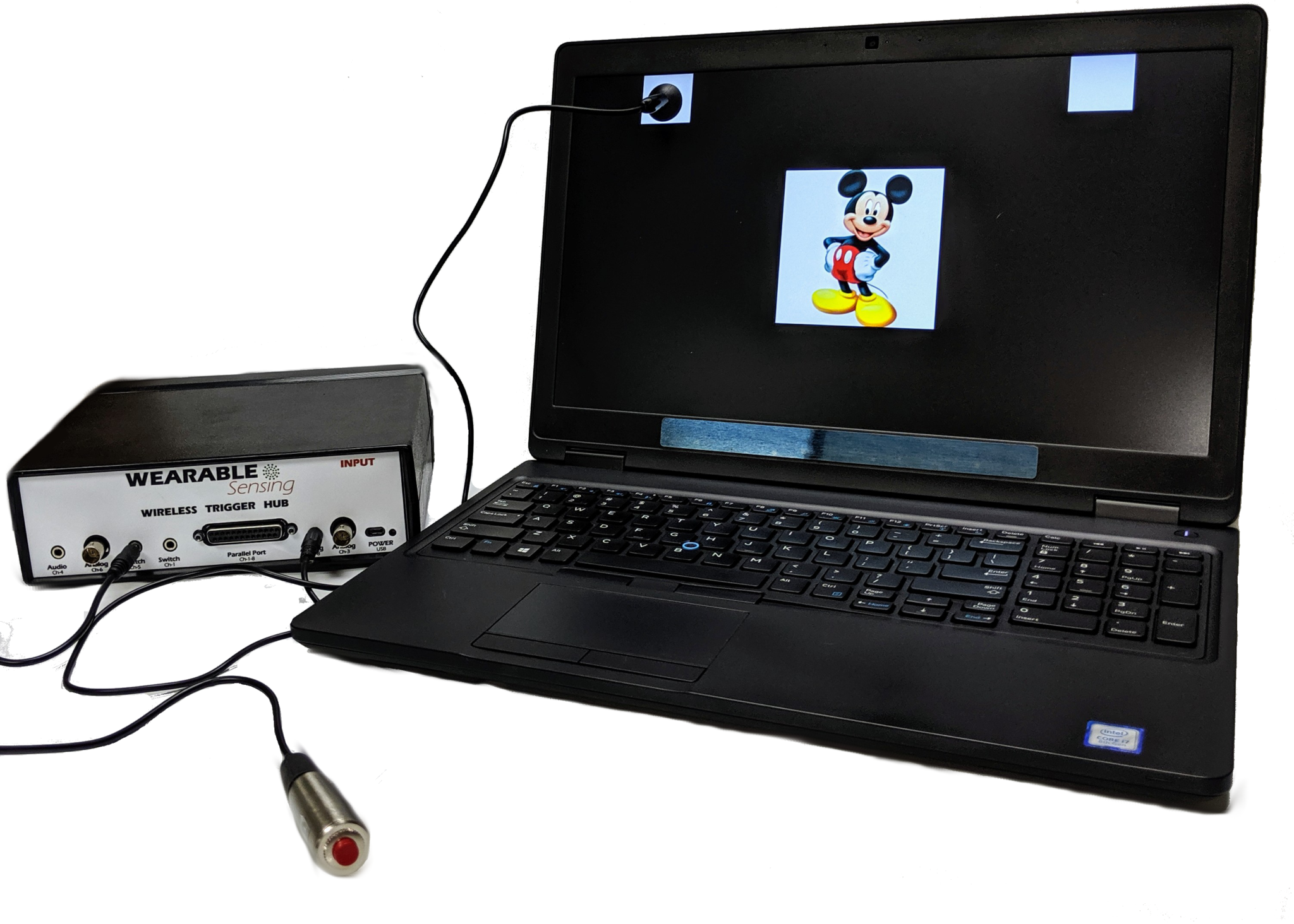 DSI-24 - Wearable Sensing | Dry EEG