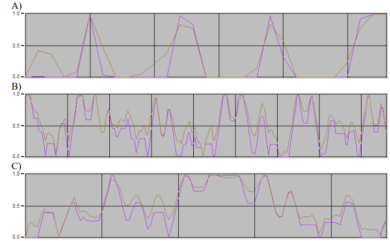 Cognitive Algorithm Wearable Sensing Dry Eeg